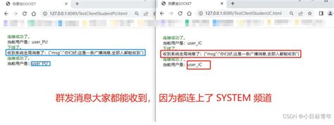 springboot 整合 socket 实战案例 ，实现 单点发送、广播群发，1对1，1对多 阿里云开发者社区