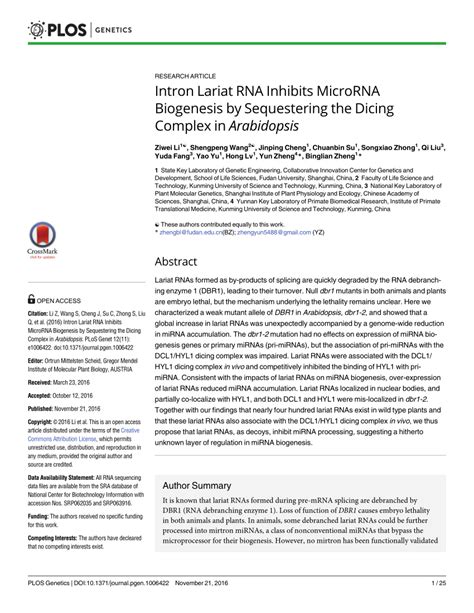 Pdf Intron Lariat Rna Inhibits Microrna Biogenesis By Sequestering