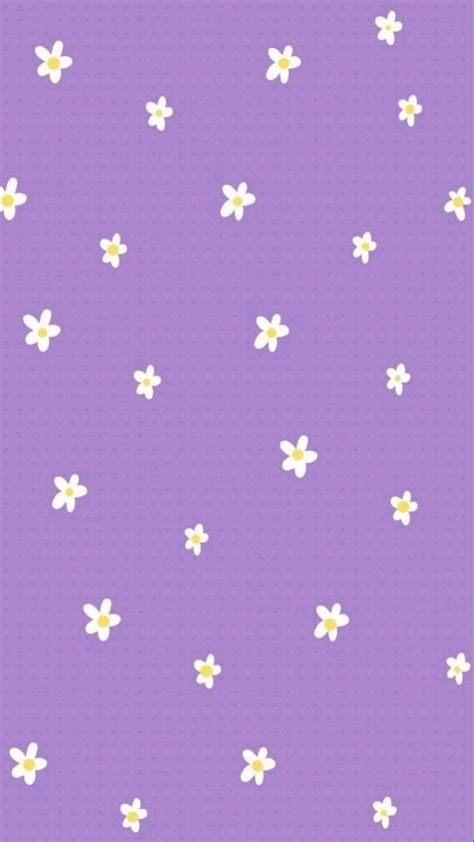 خلفيات كيوت Iphone Wallpaper Violet Daisy Wallpaper Purple Wallpaper