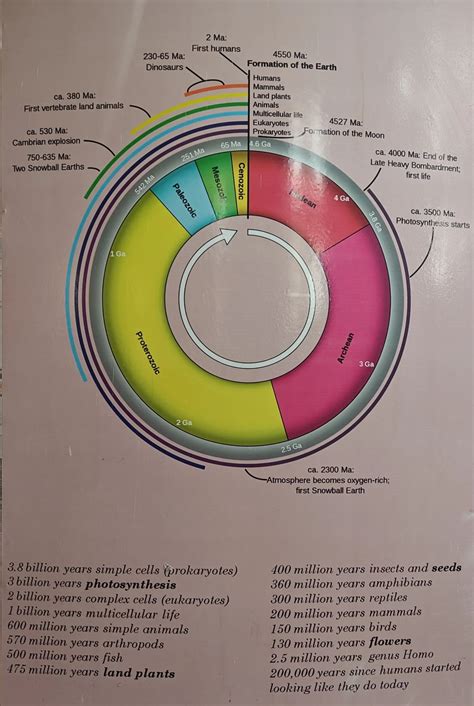 Analytics Timeseries Datavisualisation Sinjo Alex