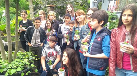 ნინო ციხისთავი