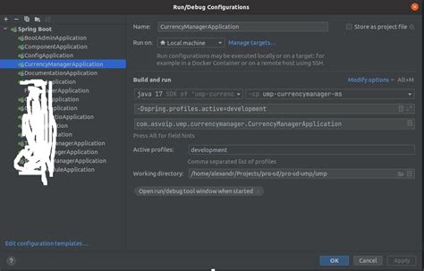 Java Как активировать профиль загрузки Spring при запуске из Intellij