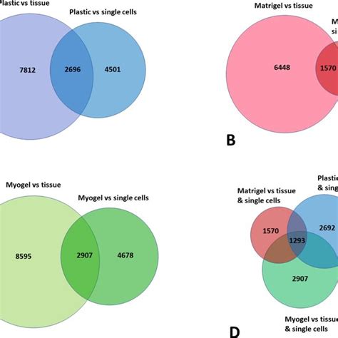 Significantly Differently Expressed Genes In Cultured Cells Compared To