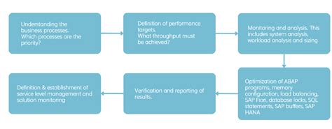 Sap Performance Analysis Tönjes Consulting Gmbh