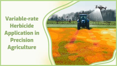 Variable Rate Herbicide Application In Precision Weed Control 🌼