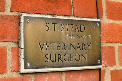 Home ST Stead Vets