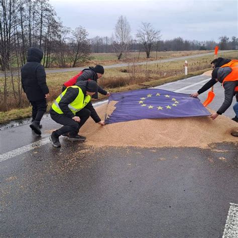 На «Ягодині поляки висипали з вантажівок українське зерно Insider Media