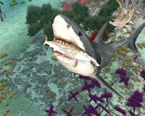 Jaws Unleashed Obsolete Gamer