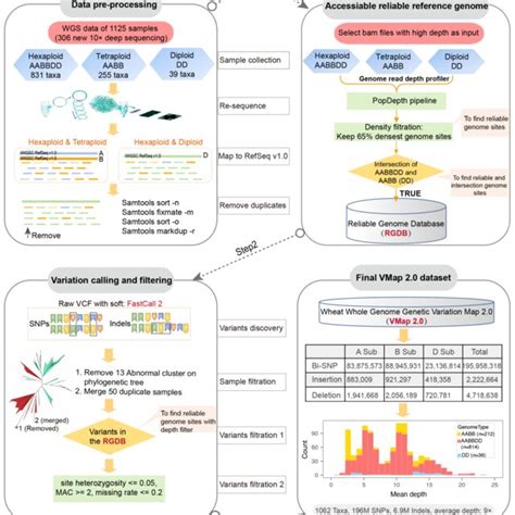 overview of vmap 2 0 data processing workflow flowchart describing