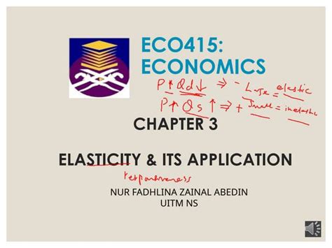 Chapter 3 Elasticity And Its Application Ppt Pptx