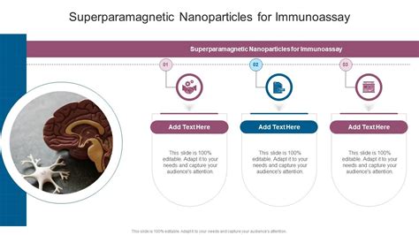 Superparamagnetic Nanoparticles For Immunoassay In Powerpoint And