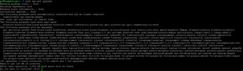 Homelab Dns Server With Raspberry Pi And Bind9