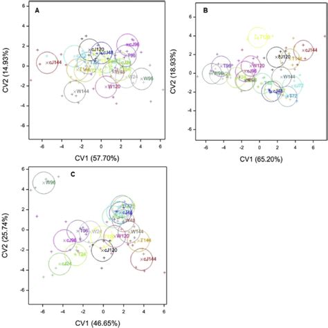 Canonical Variates Analysis Cva Plots Of Scores Plusses And Means
