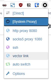 Vector Link Windows NaiveProxy Manual Setup Guide