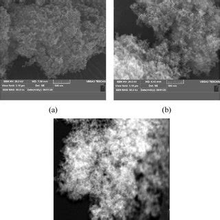 Fe SEM Images Of A SiO 2 Pr Cl B Cu SiO 2 Pr NH Benz And C TEM Download Scientific