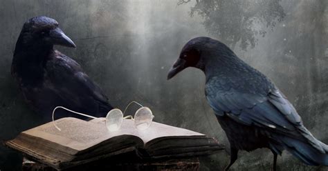 Scientists Find Crows Are Capable Of Recursion A Cognitive Ability Thought To Be Unique To