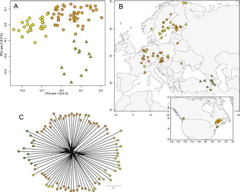 A Pcoa Analysis Of Aflp Data With The First Two Coordinates Shown And