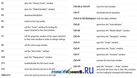 Metatrader Secrets Mt4 Hotkeys Forex Winners Free Download