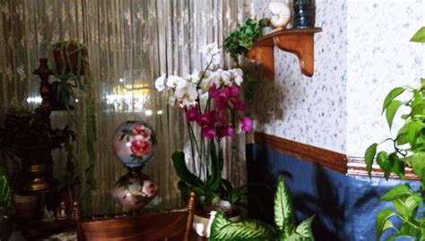 What I Learned Having Tried Ozempic And Semaglutide Tablets In Mexico