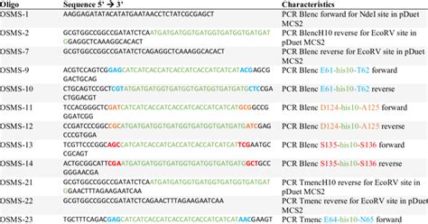 Oligonucleotides Used In This Study Dna Sequence Is Colored