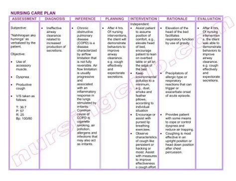 Ncp Copd Pdf Nursing Crib