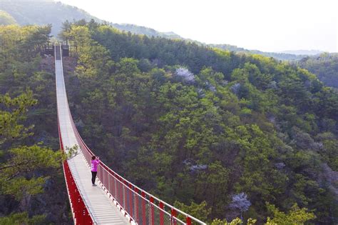 ‘출렁다리 명소 출렁출렁 스릴 넘치는 이색체험이 있는곳 경기도 가볼 만한 곳 베스트 5