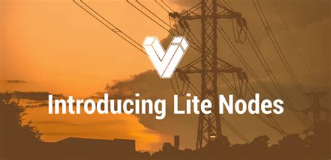 Introducing Lite Nodes