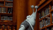 Librarian S Tenor