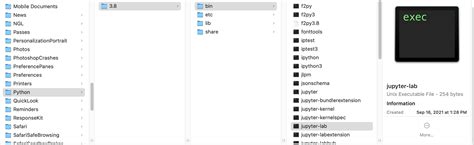 usr library python 3 8 bin jupyter lab bad interpreter library