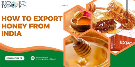 Importexport Data On Tumblr