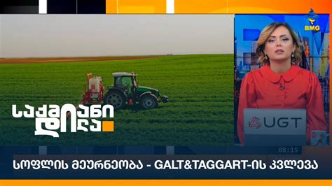 სოფლის მეურნეობა Galtandtaggart ის კვლევა Youtube