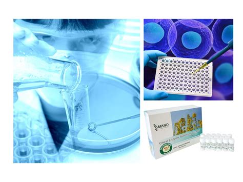 Custom Microbial Enzyme Manufacturing Company Amano