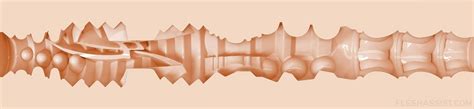 Fleshjack Chaos Vs Fleshlight Obsession Bliss Comparison Fleshassist