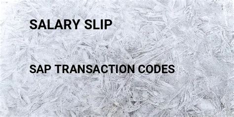 Salary Slip Tcode In SAP Transaction Codes List