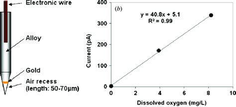 Do Microelectrode A Schematic Diagram B Calibration Curve The Download Scientific