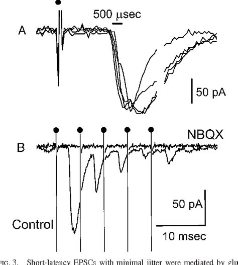Figure 3 From Reliability Of Monosynaptic Sensory Transmission In Brain