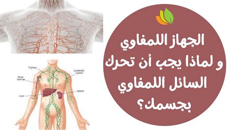 الجهاز اللمفاوي و اهمية تحريك السائل اللمفاوي لماذا يجب ان تهتم بصحة