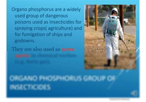 Solution Organophosphate Insecticide Poisoning Studypool