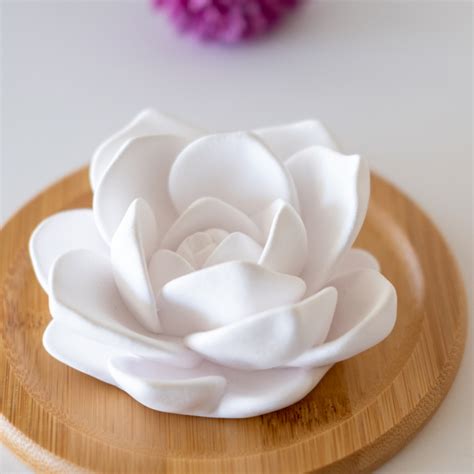 Passive Flower Diffuser Revive Essential Oils