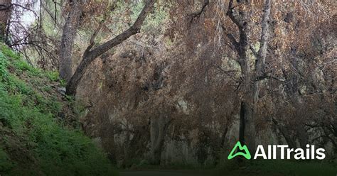 West Fork San Gabriel River Hikes And Trails To Get You There Alltrails
