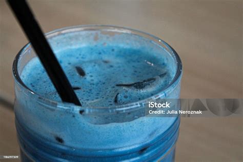 검은 빨대와 얼음을 가진 나무 테이블에 우유를 곁들인 아이스 완두콩 라떼 블루 티 칵테일 한 잔 0명에 대한 스톡 사진 및 기타 이미지 Istock