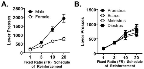 Sex Differences In A Rat Model Of Risky Decision Making Abstract Europe PMC