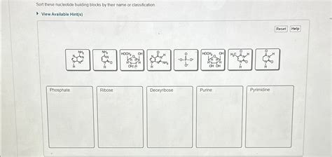 Solved Sort These Nucleotide Building Blocks By Their Name