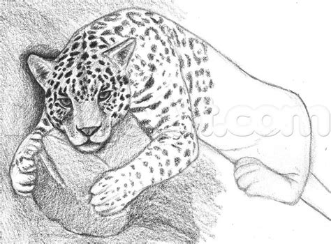 How To Draw A Jaguar Step By Step Tutorial