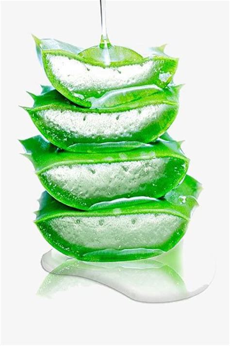 ว่านหางจระเข้ มีดีอย่างไร และสรรพคุณของวานหางจระเข้ จะช่วยอะไรเราได้บ้าง