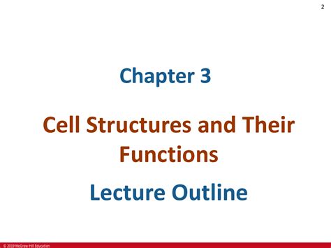 SOLUTION Anatomy Physiology Chapter 3 Cell Structures And Their Functions Studypool
