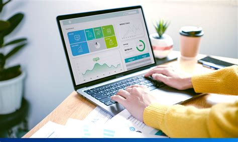 Software De Gestión De Datos Guía Para Principiantes