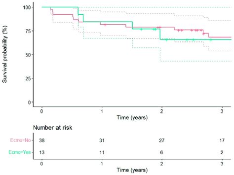 Kaplan Meier Survival Curves Solid Lines And 95 Confidence Interval Download Scientific