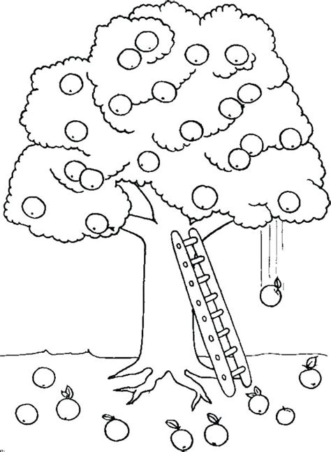 Fruit Tree Coloring Page At GetColorings Com Free Printable Colorings Pages To Print And Color