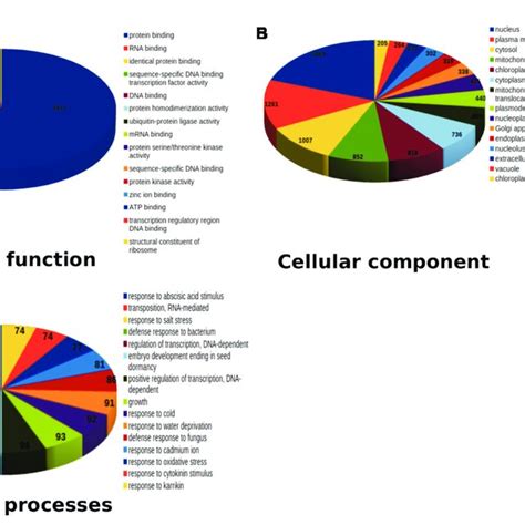 Top 15 Pathway Annotation Of Transcript In Gene Ontology Go Database